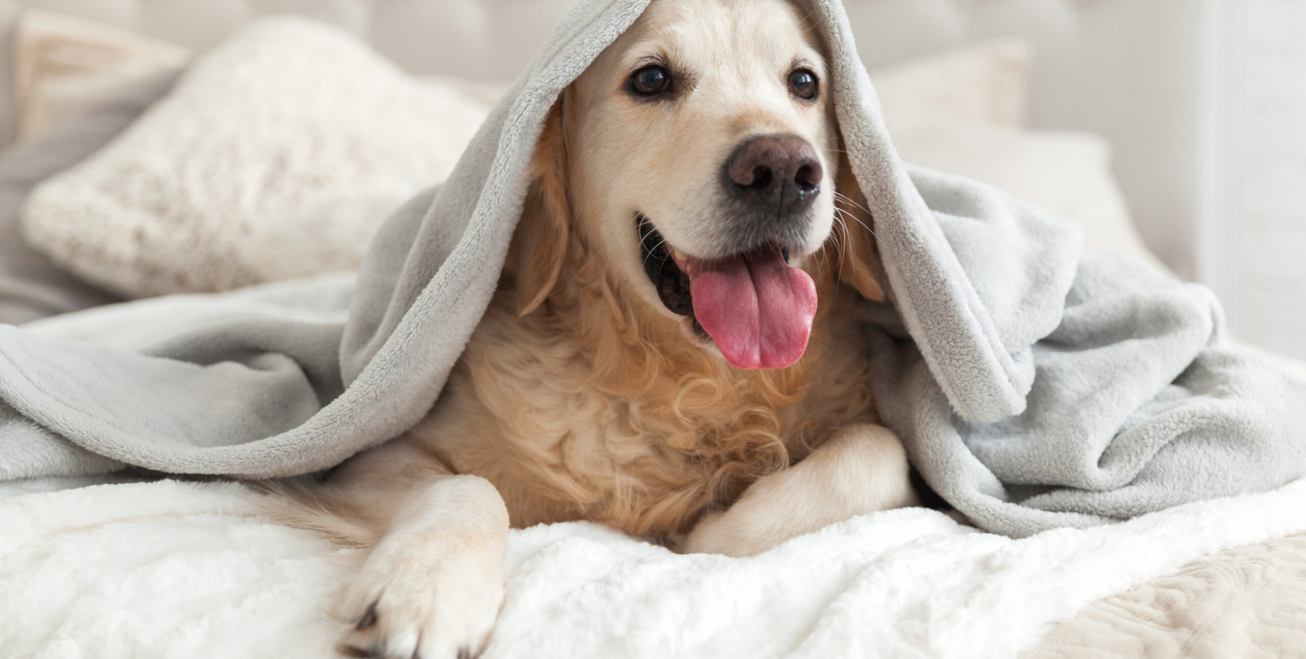 About Motili - Motili